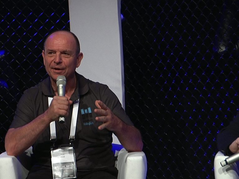 Kampfkunst online lernen - Ruhrbarone